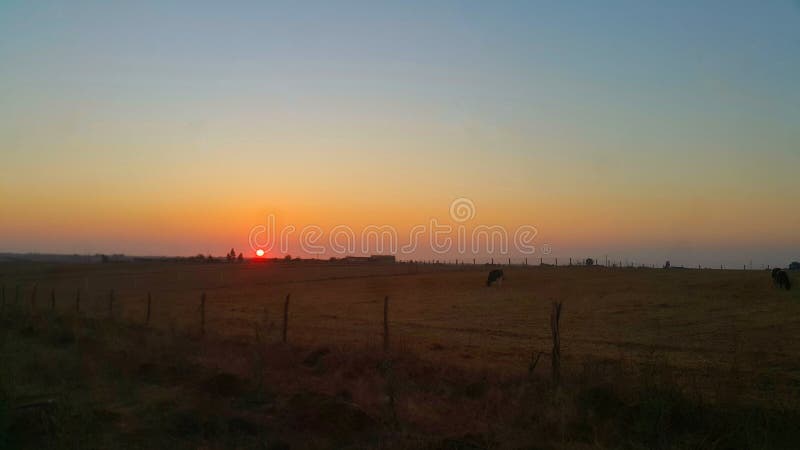 Arabic Farm stock image. Image of nature, blue, sunset - 130672891