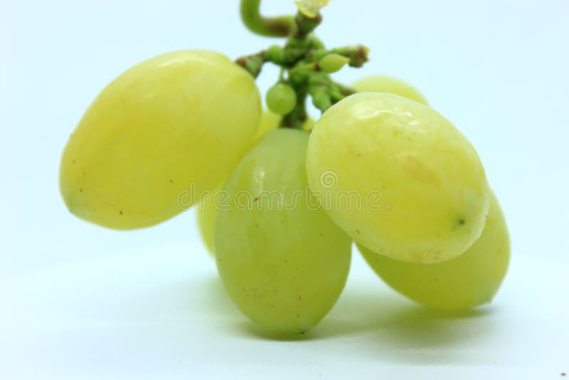 Moroccan Green Grapes in Light Box Stock Image - Image of citrus ...