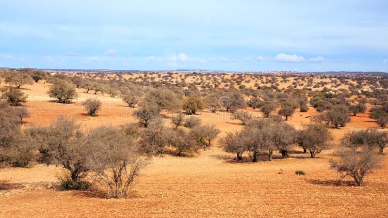 Moroccan landscape stock photo. Image of panorama, plain - 49053554