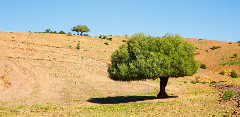 Moroccan Landscape and Blue Sky Stock Photo - Image of travel ...