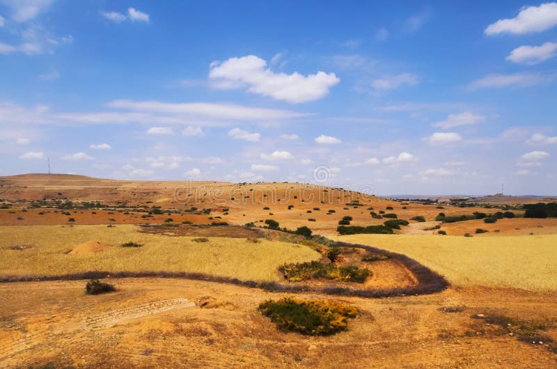Moroccan Green Landscape (horizontal) Stock Photo - Image of montenegro ...