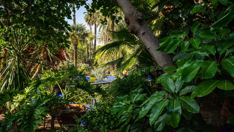 Moroccan Native Plants in a Botanical Garden Stock Image - Image of ...