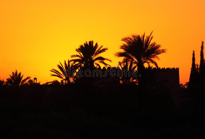 Morocco, Marrakesh, Silhouette of Palm Trees at Sunset. Stock Image ...