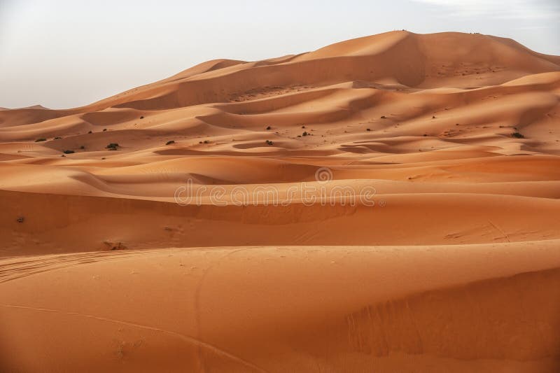 Morocco. Sand Dunes of Sahara Desert Stock Photo - Image of sahara ...
