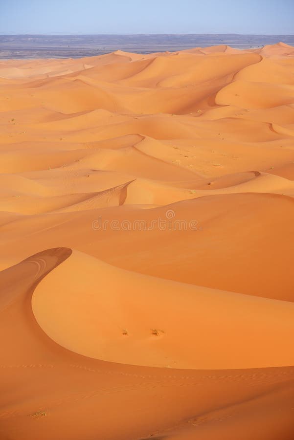 Morocco. Sand Dunes of Sahara Desert Stock Image - Image of color ...