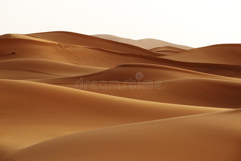Morocco. Sand Dunes of Sahara Desert Stock Image - Image of color ...