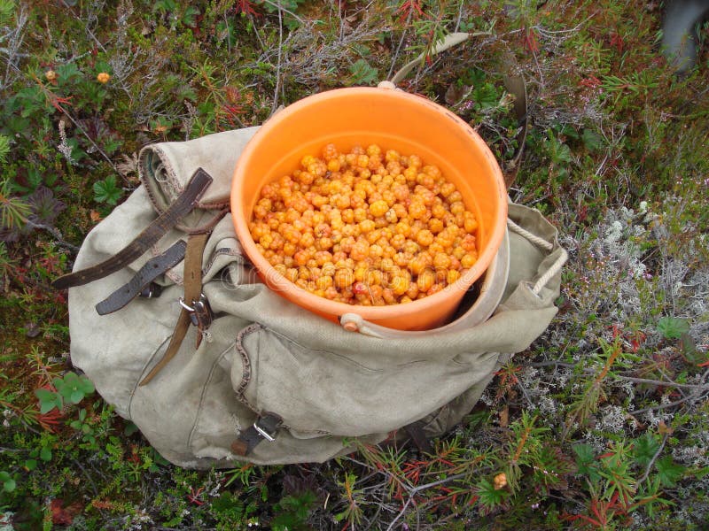 Moroshka Del Rovo, Montagne, Stone7 Immagine Stock - Immagine di verde ...