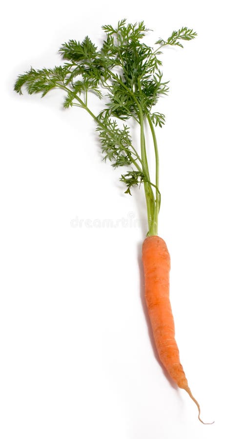 Skivad morot med blast fotografering för bildbyråer. Bild av orange ...