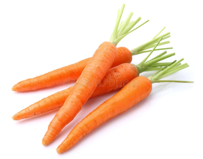 Morot en arkivfoto. Bild av isolerat, organiskt, stamma - 17406132