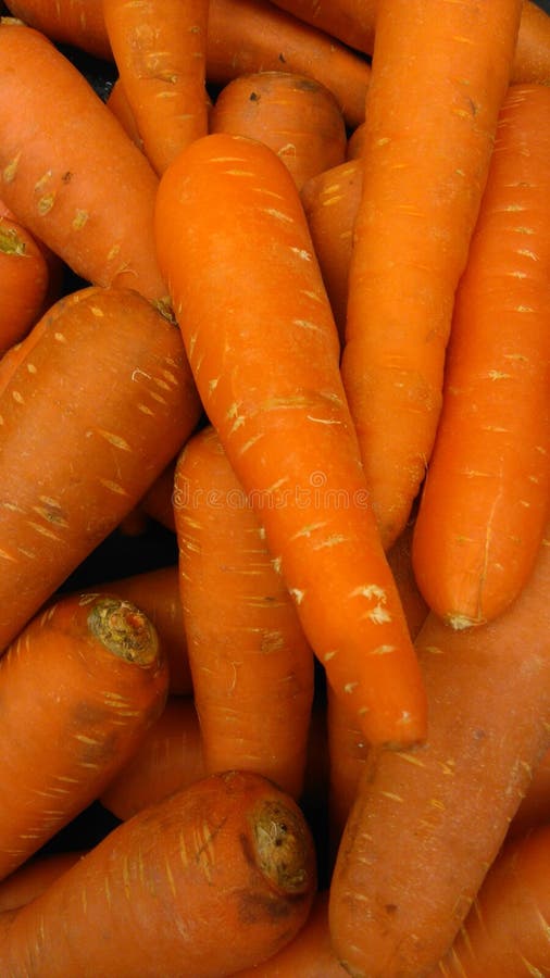 Morot arkivfoto. Bild av marknad, stad, modernt, morot - 68428340