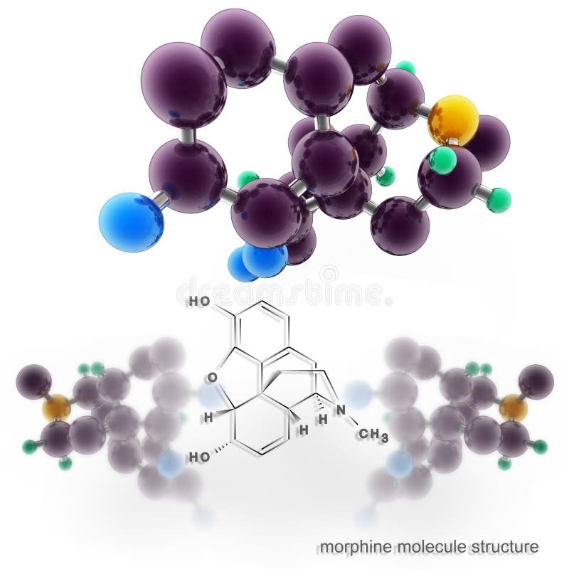 Morphine Molecule Structure Stock Illustration - Illustration of ...
