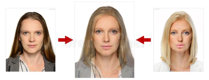 Morphing Example - 2 People on a Fake ID Card Stock Photo - Image of ...