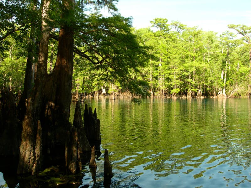 Morrison Spring stock photo. Image of spring, dirt, wave - 708814