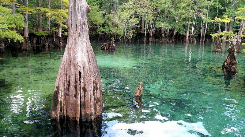 Morrison Springs stock photo. Image of springs, ponce - 76767480