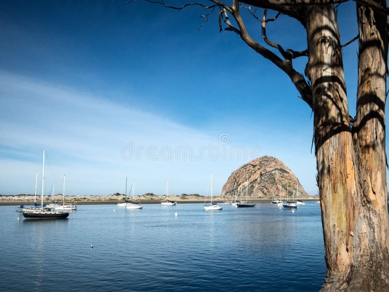 Morro Bay stock image. Image of marker, morro, boat, coast - 51515755