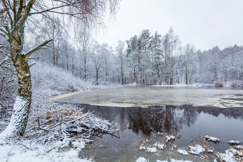Morrum River in Snowy Winter Scenery, Sweden Stock Photo - Image of ...