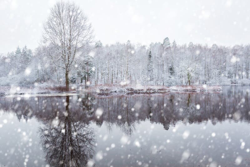 Morrum River in Snowy Winter Scenery, Sweden Stock Photo - Image of ...