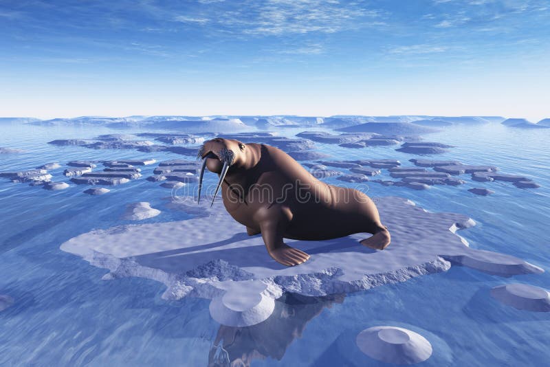 Morsa sola stock de ilustración. Ilustración de calentamiento - 6820044