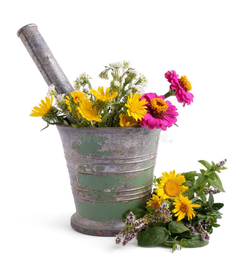 Mortar with Different Flowers and Pestle on White Background Stock ...