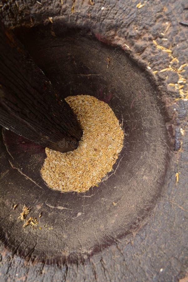 Stone Mortar And Wooden Pestle For Pounding Rice Stock Photo - Image of ...