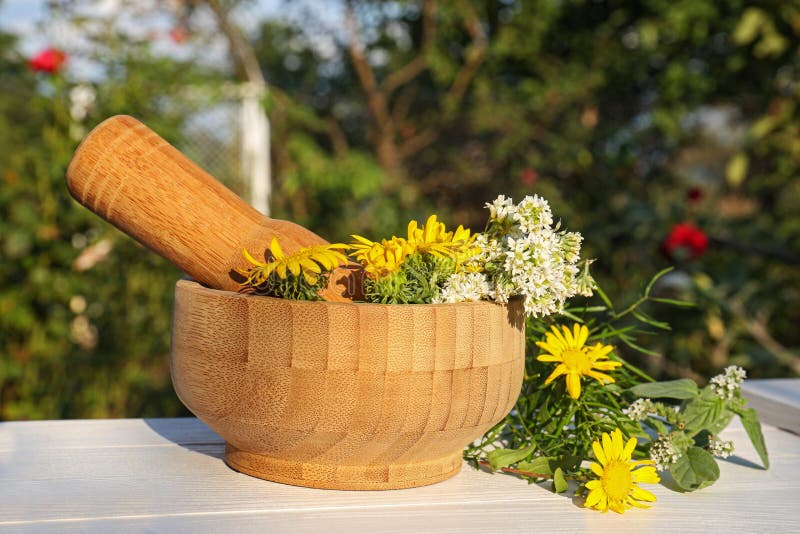 Mortar with Pestle, Flowers and Herbs on White Wooden Table Outdoors ...