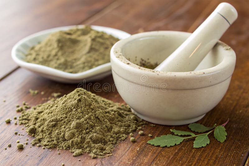 A Mortar and Pestle Next To Herbal Powder Stock Illustration ...