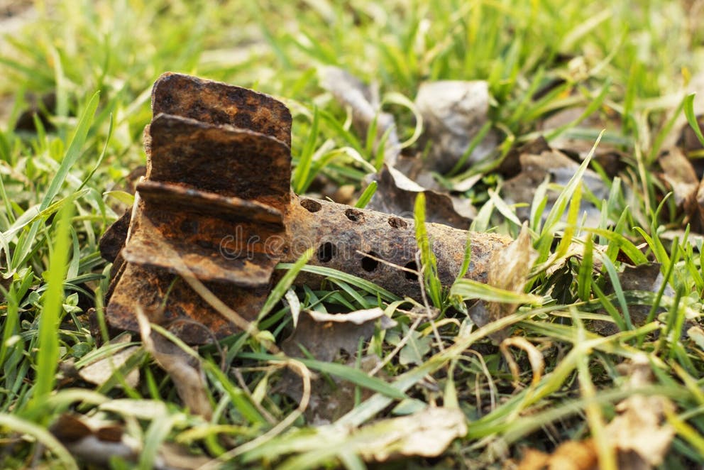 Mortar Shell in the Grass on a Sunny Day Stock Image - Image of ...