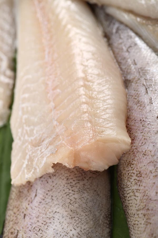 Morue image stock. Image du nourriture, champignon, poissons - 8194533