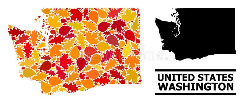 Washington State Fall Leaves Stock Illustrations – 47 Washington State ...