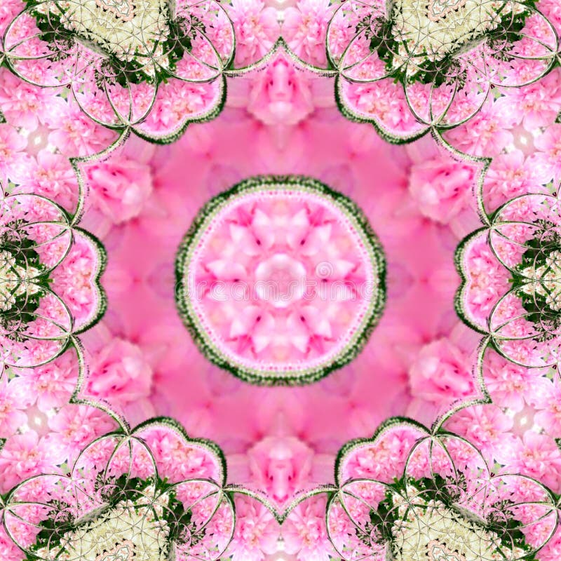 Kaleidoscope of Pink Roses in Mandala Stock Illustration - Illustration ...