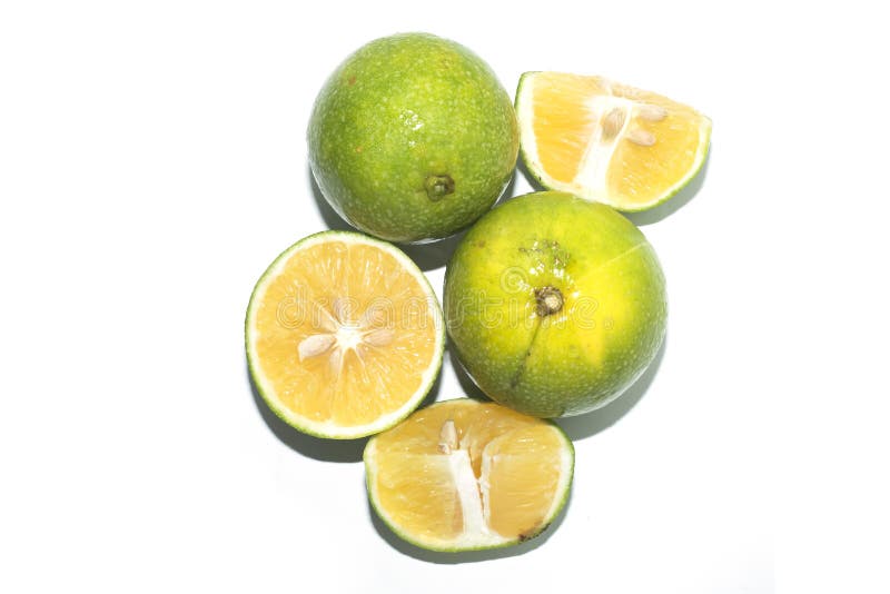 Mosambi Sweet Lime Fruit Isolated on White Background Stock Image ...