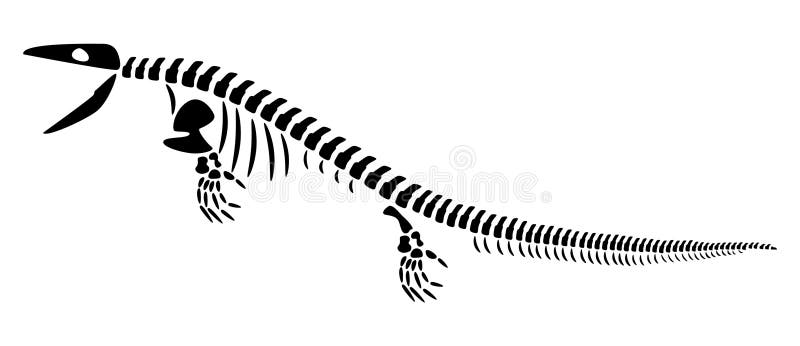 Mosasaurus Skeleton . Silhouette Aquatic Dinosaurs . Side View Stock ...