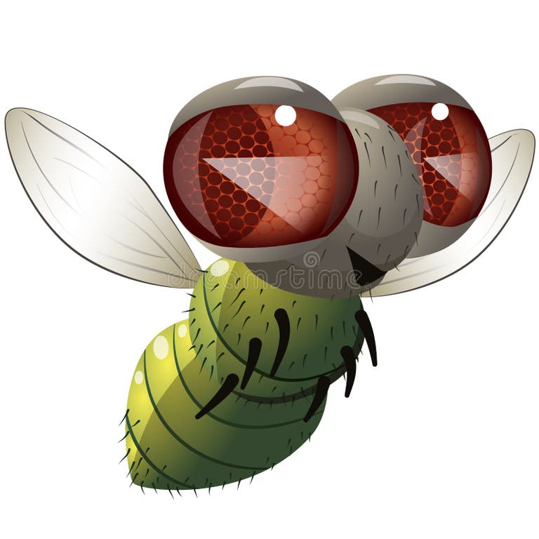 Mosca cómica ilustración del vector. Ilustración de icono - 109554938