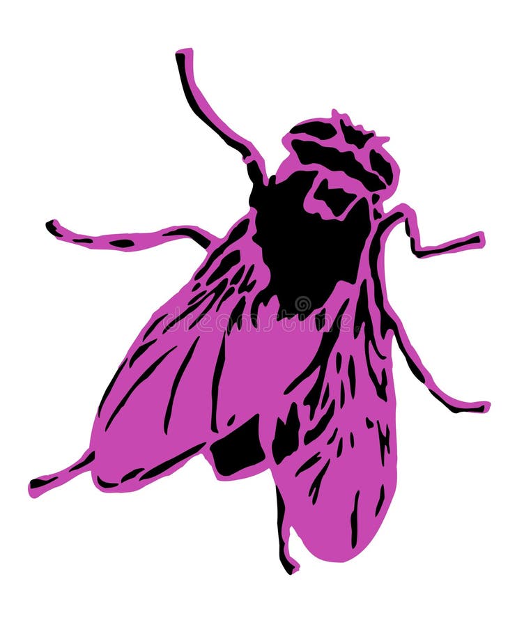 Mosca rosada ilustración del vector. Ilustración de moscas - 13007508