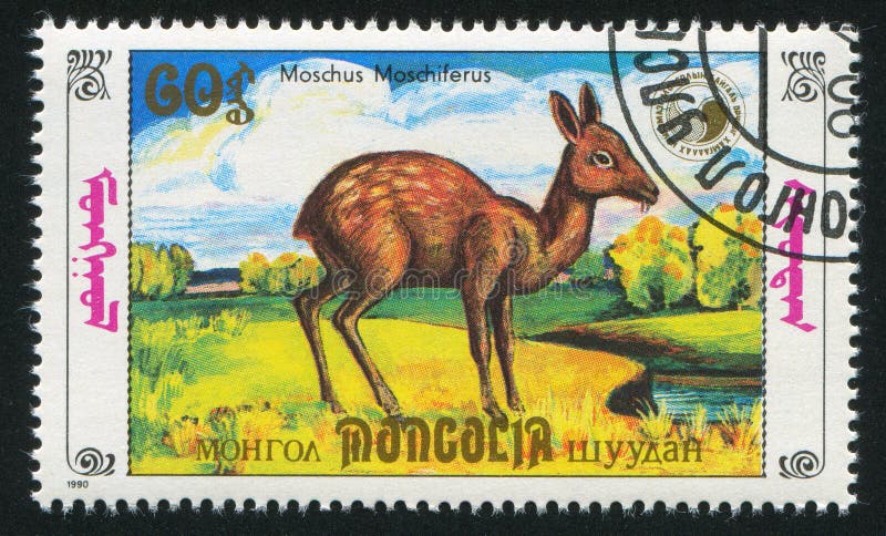 Moschus Moschiferus editorial photography. Image of mail - 232822377
