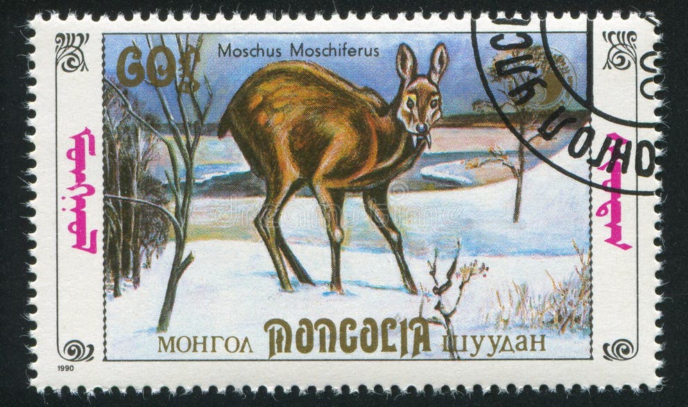 Moschus Moschiferus editorial stock photo. Image of mail - 232822383