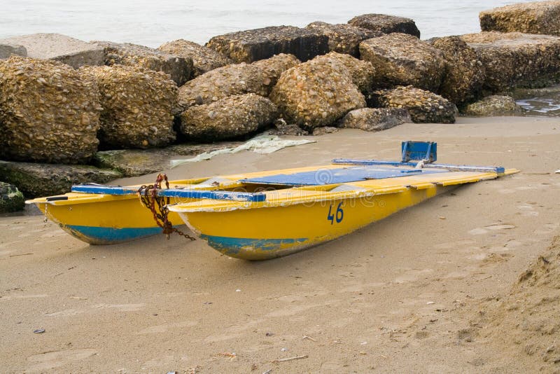 Moscone silted stock image. Image of autumn, buried, branch - 79808045