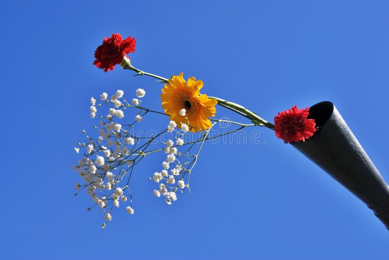 Flowers Put Inside a Gun Barrel. Peace Symbol. Victory Day Celebration ...