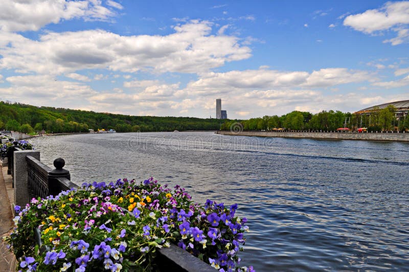 Moscow river coast stock photo. Image of summer, vorob - 56128150