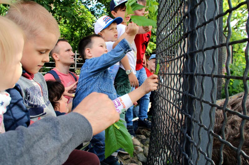 Children feed animals. editorial image. Image of nature - 101088545