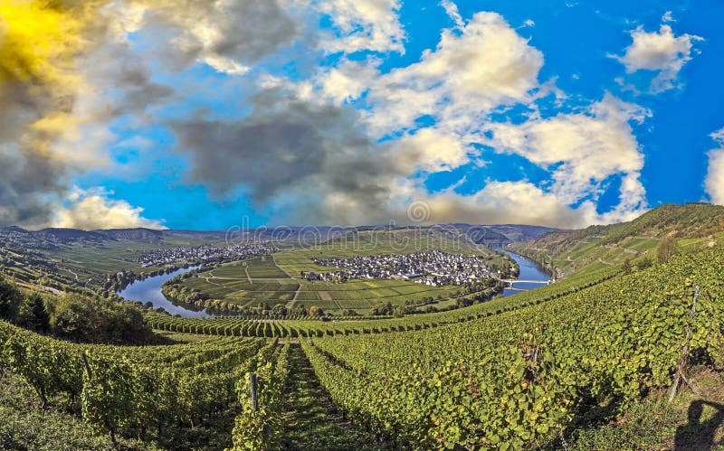 Moselle River Loop in Trittenheim, Germany. Stock Photo - Image of ...