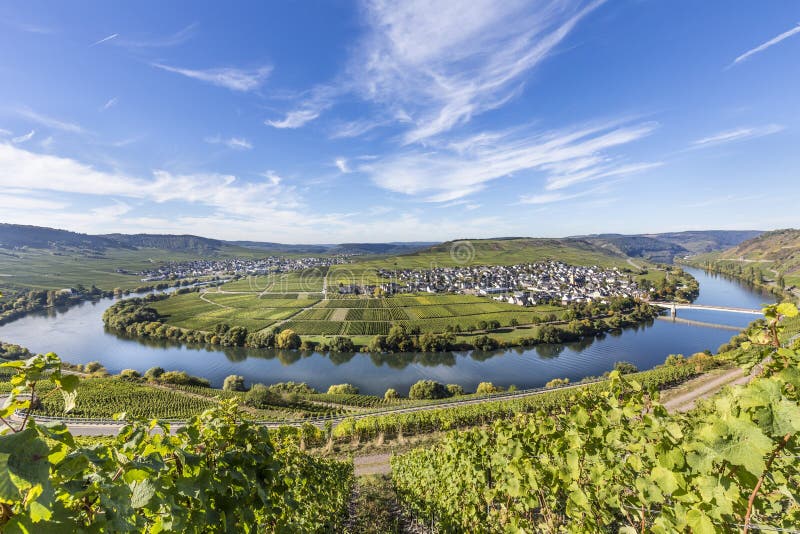 Moselle River Loop in Trittenheim, Germany. Stock Photo - Image of ...