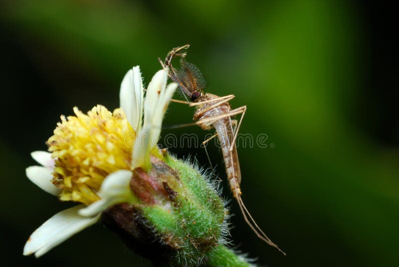 {Nummer} {Stichwort} Stock Fotos - Freie & Royalty-Free Stock Fotos von ...