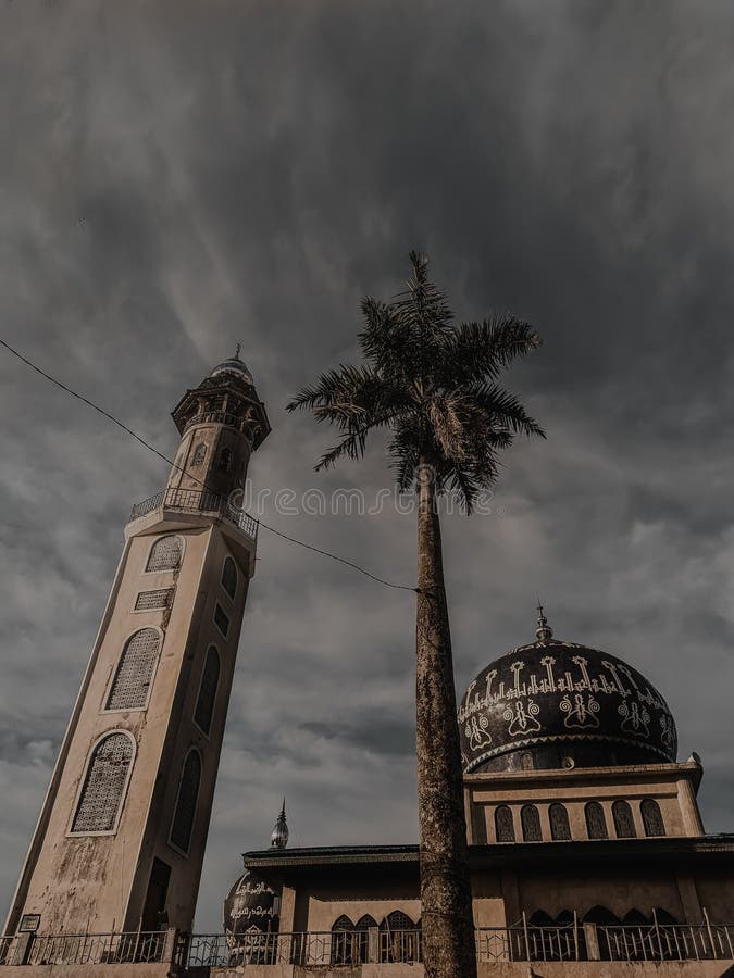 Mosque arabian palm stock image. Image of cathedral - 222231075