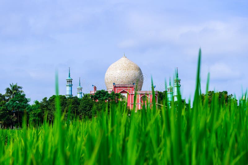Mosque on the Background of Green Rice Field Stock Photo - Image of ...