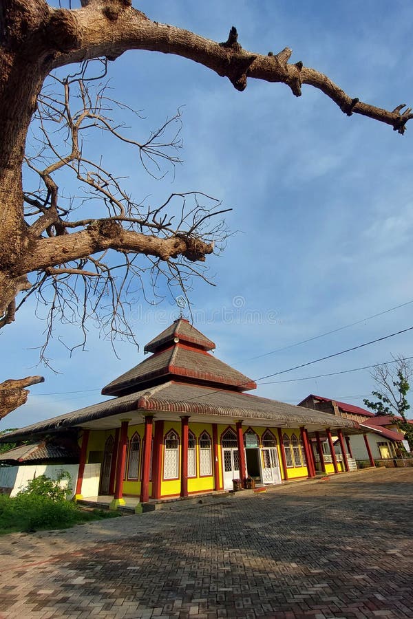 Mosque with a Classic Design and with a Dry Tree Stock Photo - Image of ...