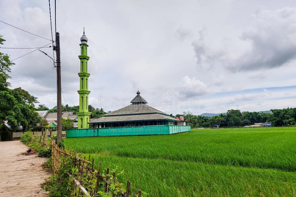 A Mosque on the Edge of Rice Fields Stock Photo - Image of hill, asia ...