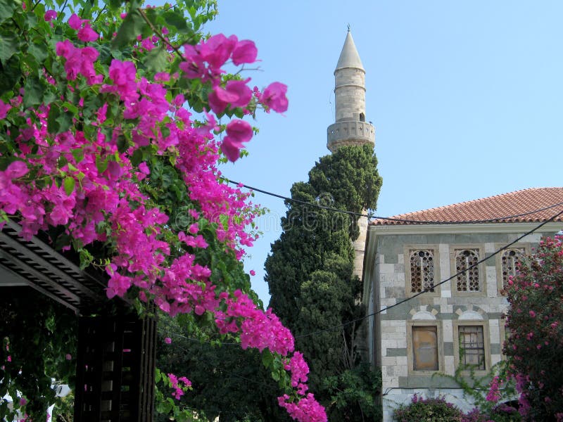 The Mosque and the Flowers stock photo. Image of travel - 212210