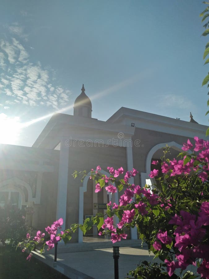 The Mosque and the Flowers stock photo. Image of travel - 212210
