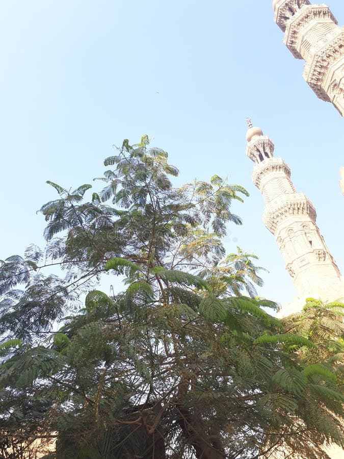 Mosque and leaves stock photo. Image of trees, mosque - 105169798